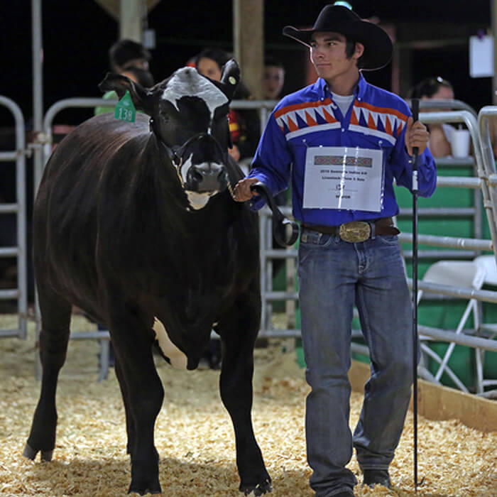 Florida Archives - Tribal Extension