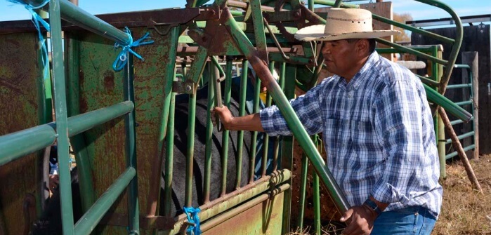 Fort Hall - Tribal Extension