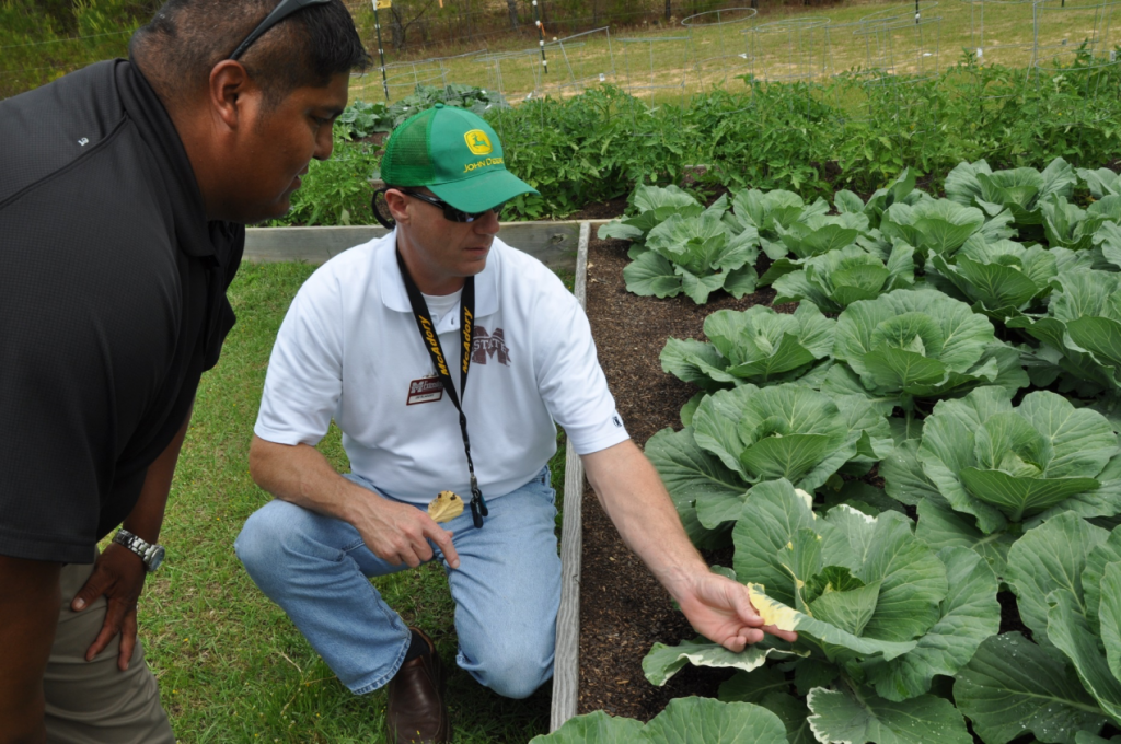 Mississippi Choctaw - Tribal Extension
